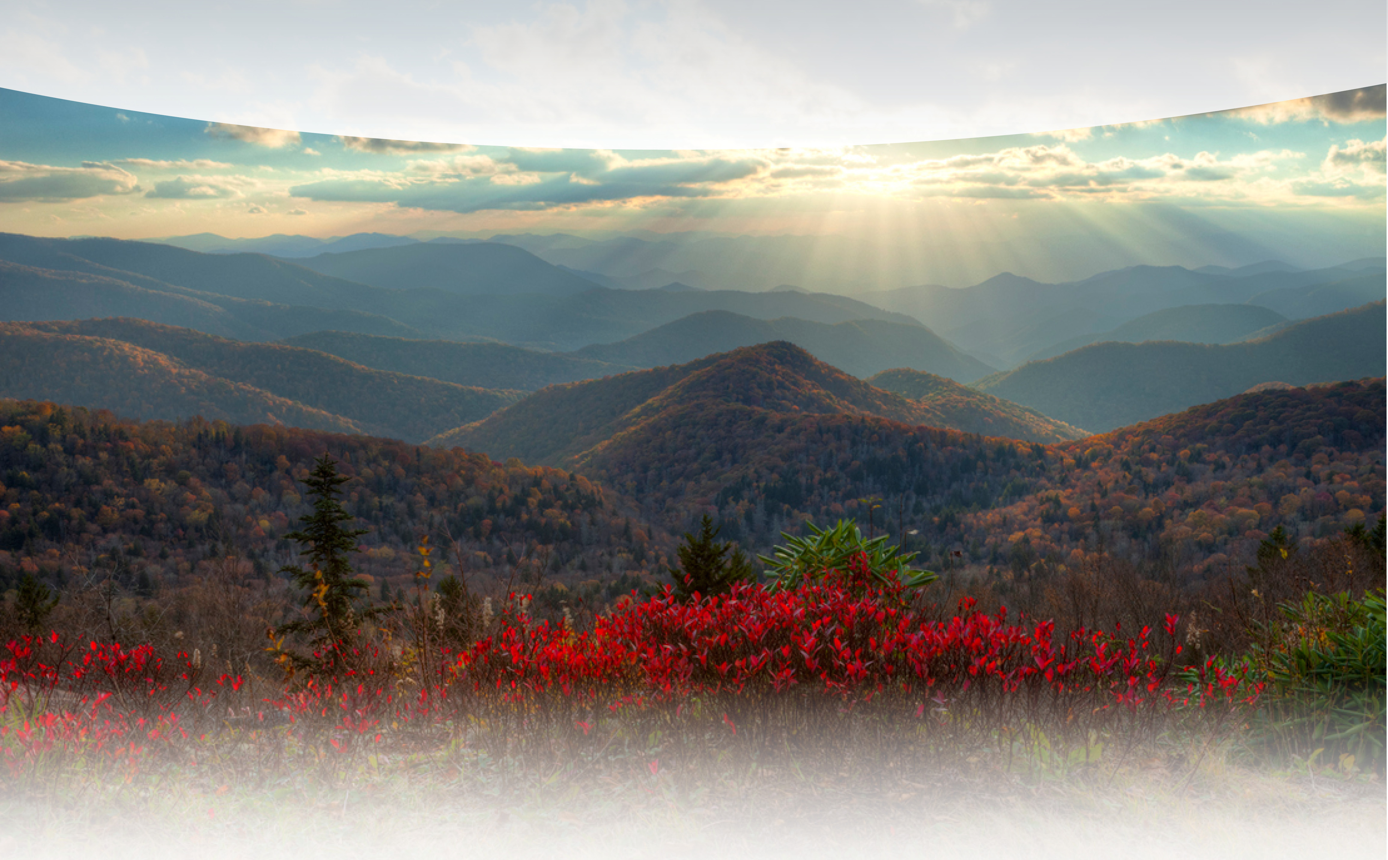 Health Plans, Inc. | North Greenville University